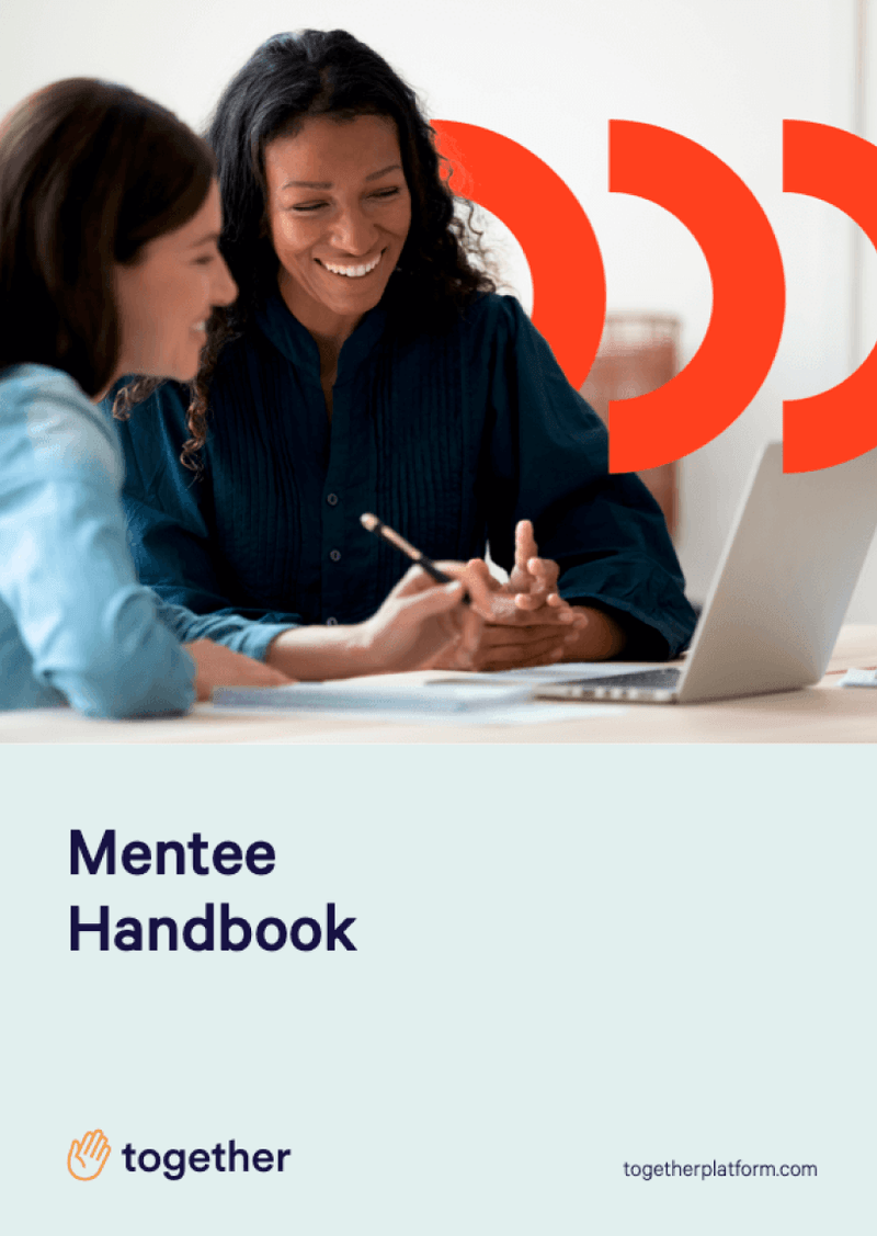 Mentorship Program Proposal Template | Together Software